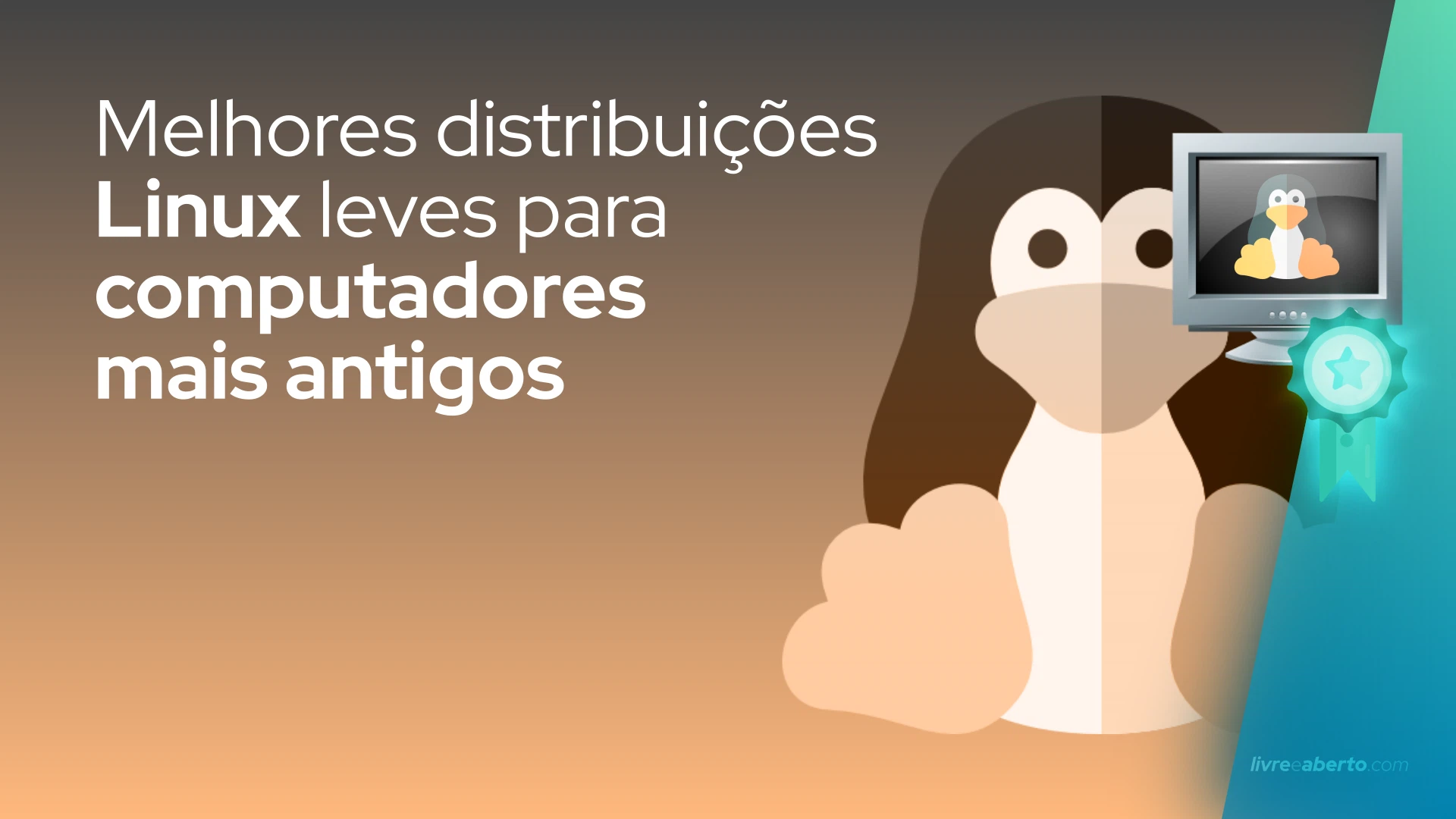 Melhores distribuições Linux leves para computadores mais antigos