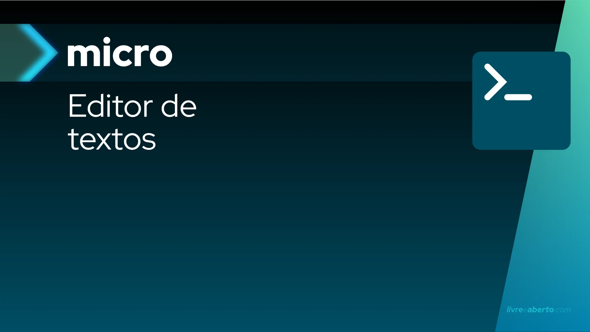 Micro: um moderno editor de textos na linha de comando
